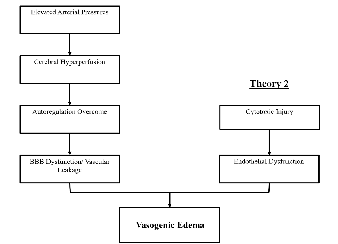 Figure 2 From Posterior Reversible Encephalopathy Syndrome Pres