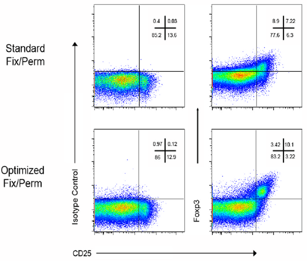 Figure 1 From An Optimized Multi Parameter Flow Cytometry Protocol For