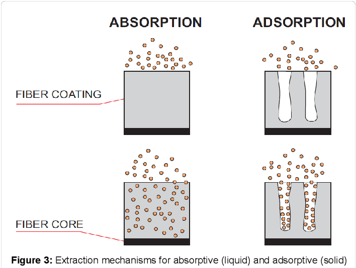 Pdf Solid Phase Microextraction Spme Method Development In Analysis