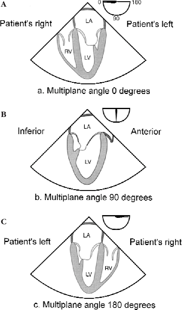 Figure 3 From Asesca Guidelines For Performing A Comprehensive