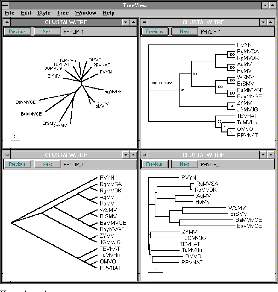 Phylogenetic Tree Maker Easy Jude Combs