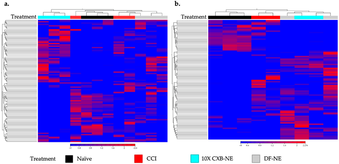 Figure 1 From Rna Seq Reveals Sex Differences In Gene Expression During