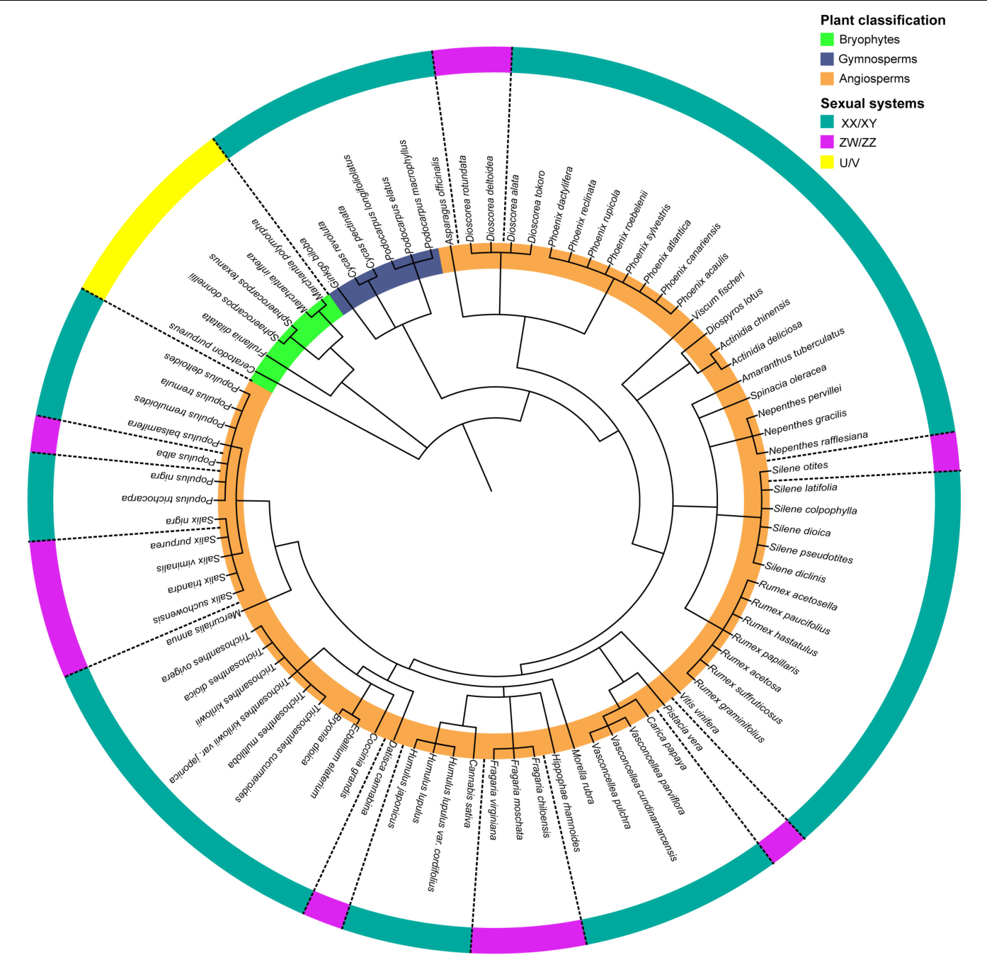 Figure 1 From The Diversity And Dynamics Of Sex Determination In