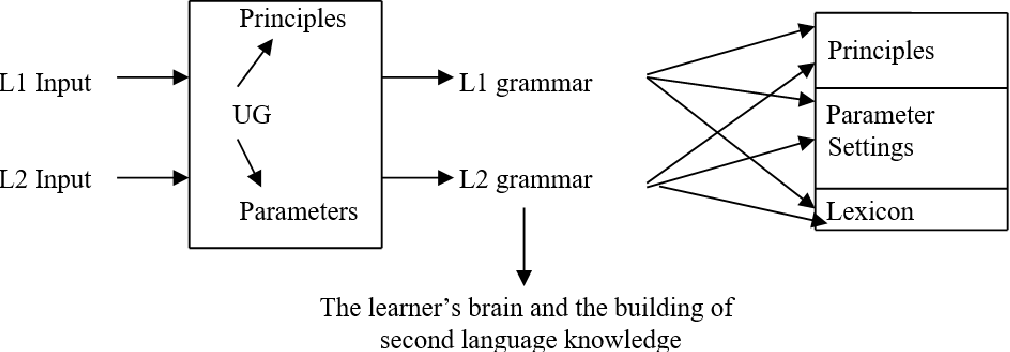 Figure 3 From Contrastive Analysis Error Analysis Markedness Theory