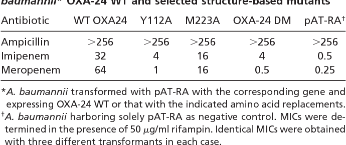 Table 1 From Crystal Structure Of The Carbapenemase Oxa 24 Reveals