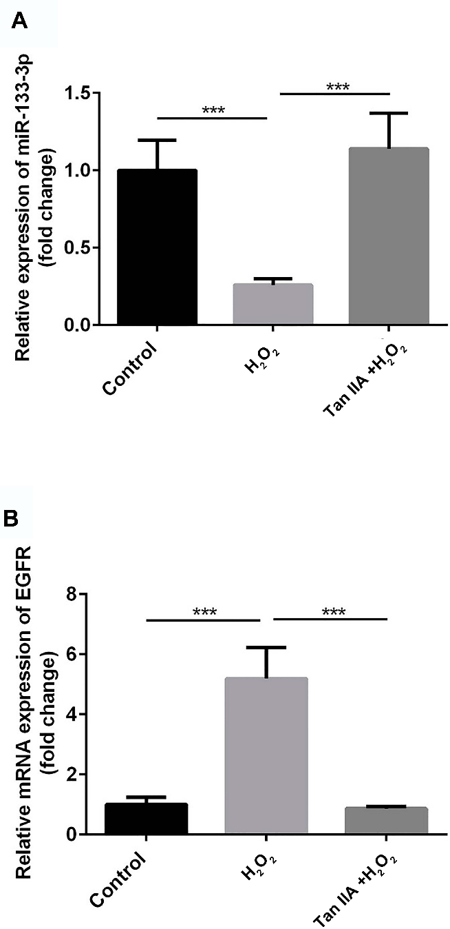 Figure 2 From Tanshinone Iia Ameliorates Progression Of Cad Through