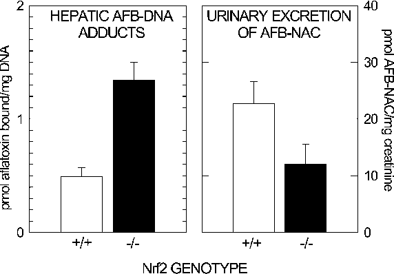 Table 1 From Role Of Phase 2 Enzyme Induction In Chemoprotection By