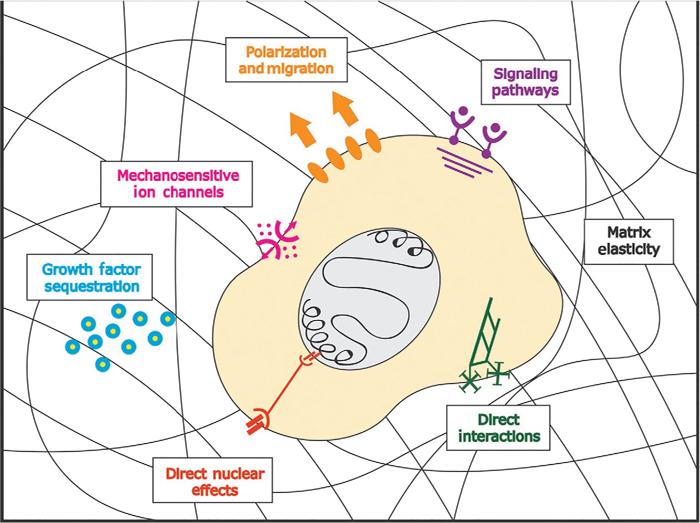 Figure 1 From The Physical And Biochemical Properties Of The