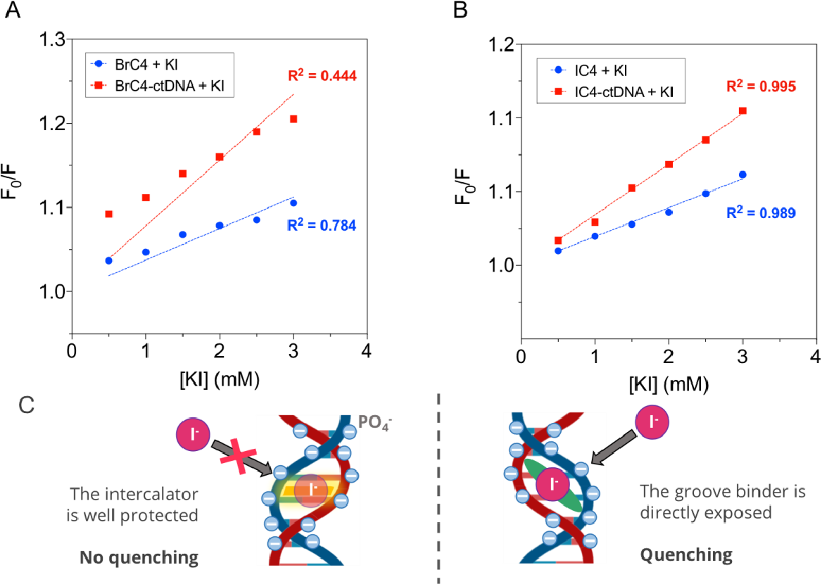 Figure 1 From Unveiling The Interaction Between Pdt Active Squaraines