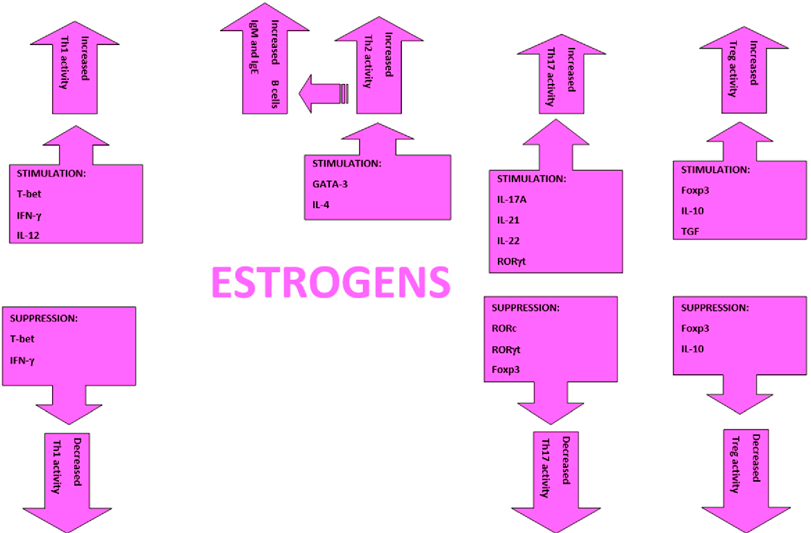 Figure 1 From Sex And Gender Aspects For Patient Stratification In