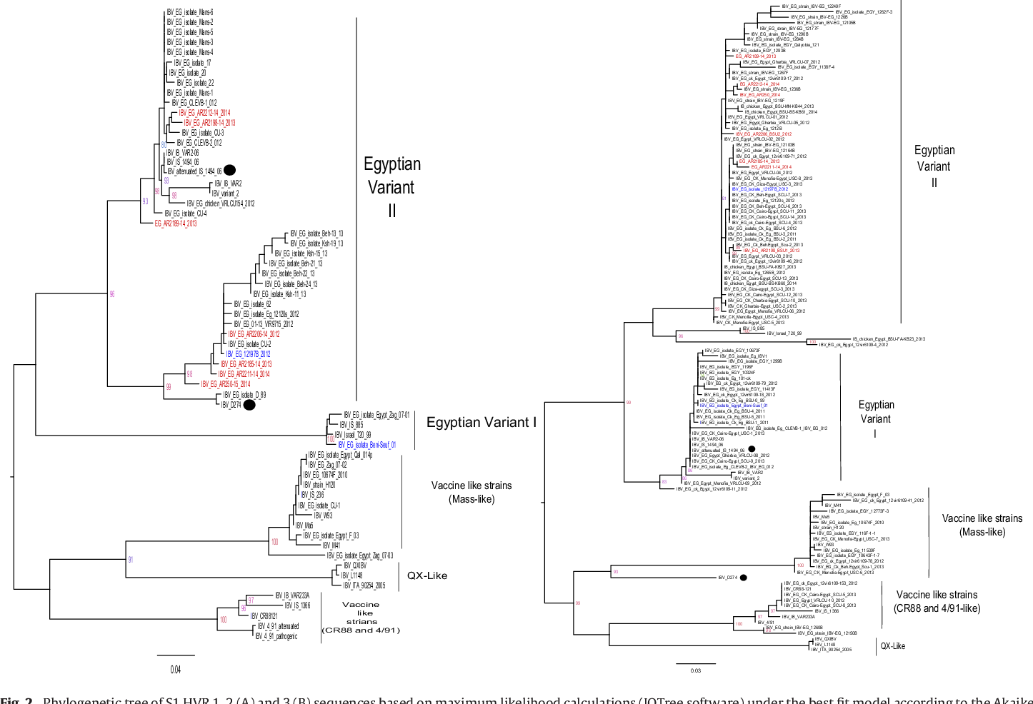 Figure 1 From New Real Time And Conventional Rt Pcrs For Updated