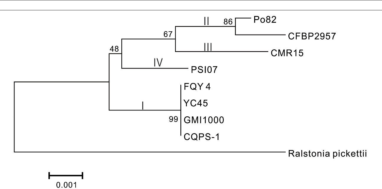 Genome Sequencing Of Ralstonia Solanacearum Cqps 1 A Phylotype I