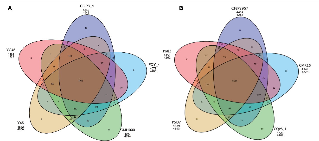 Genome Sequencing Of Ralstonia Solanacearum Cqps 1 A Phylotype I