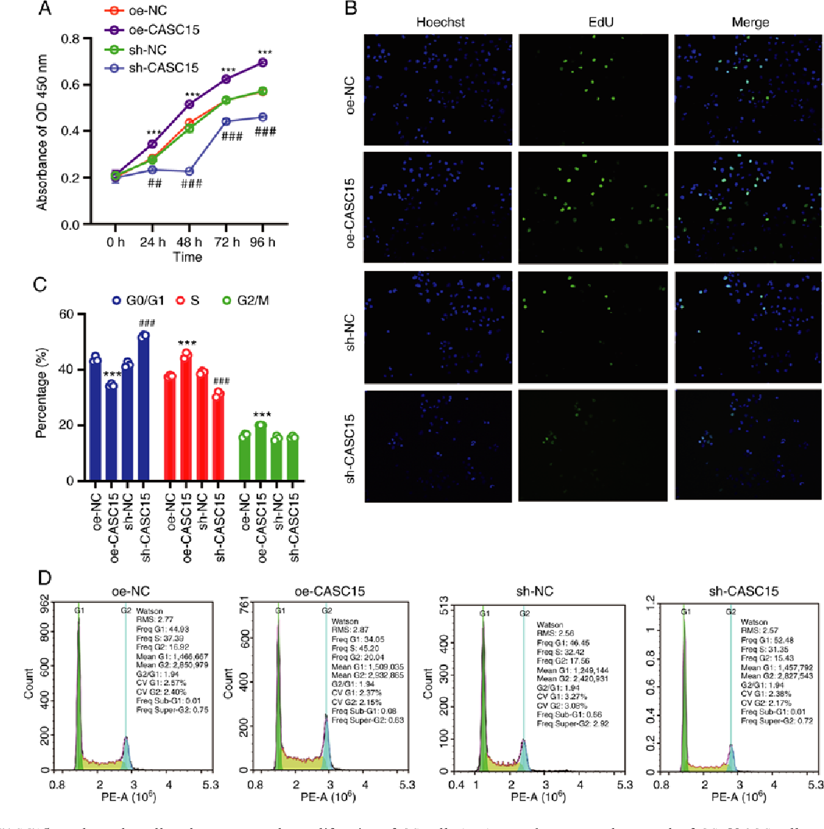 Figure 1 From Lncrna Casc15 Promotes Osteosarcoma Proliferation And