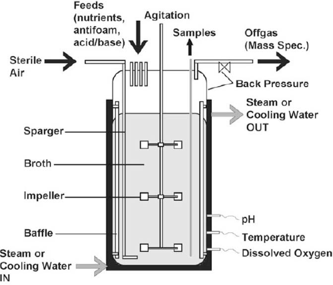 Figure 1 From Optimal Control Of A Nonlinear Fed Batch Fermentation