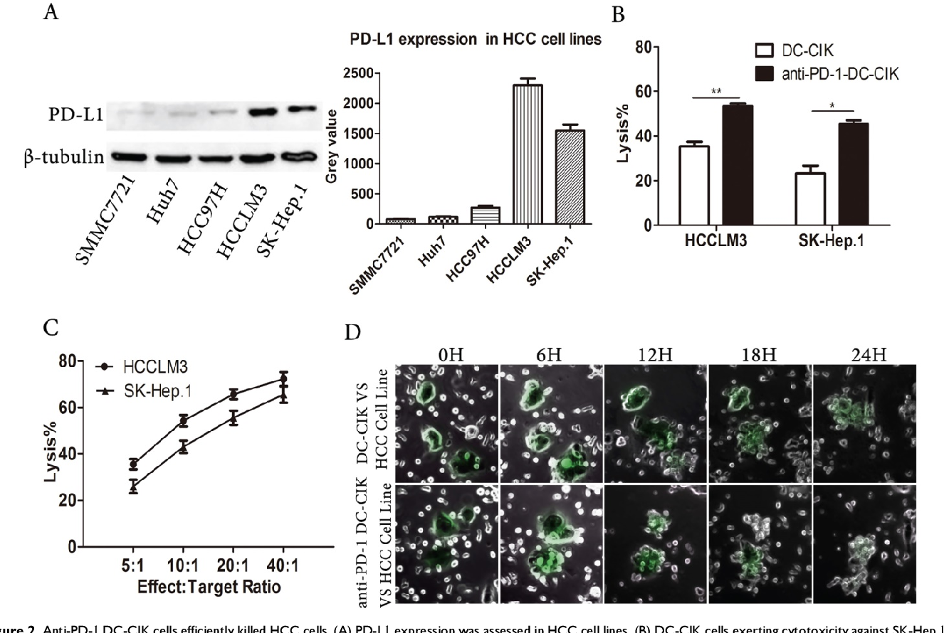 Figure 1 From Blocking The Pd 1pd L1 Axis In Dendritic Cell Stimulated