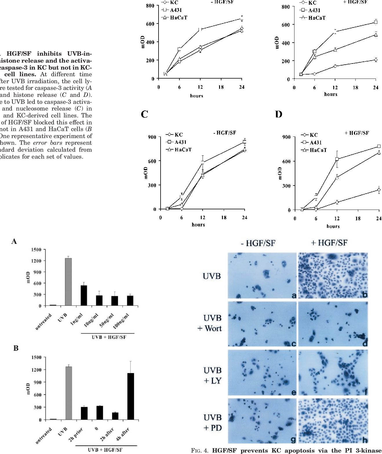 Figure 1 From Hepatocyte Growth Factorscatter Factor Inhibits Uvb