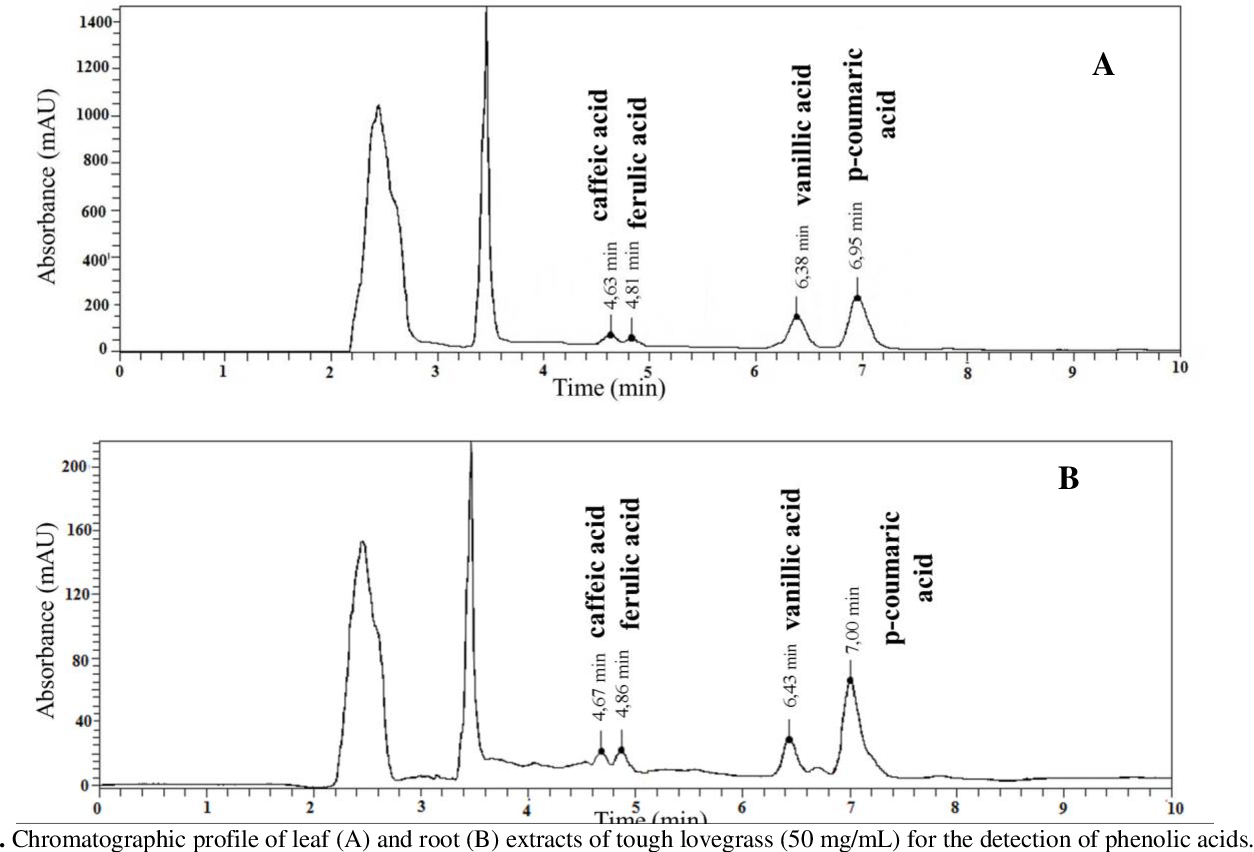 Table 2 From Pattern Of Allelochemical Distribution In Leaves And Roots