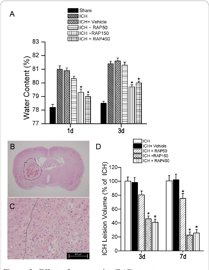 Rapamycin Protects Against Neuronal Death And Improves Neurological