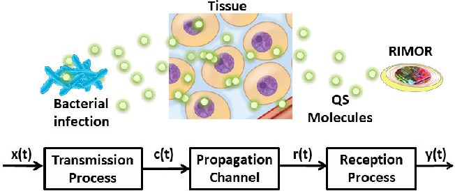 Figure 3 From Panacea An Internet Of Bio Nanothings Application For