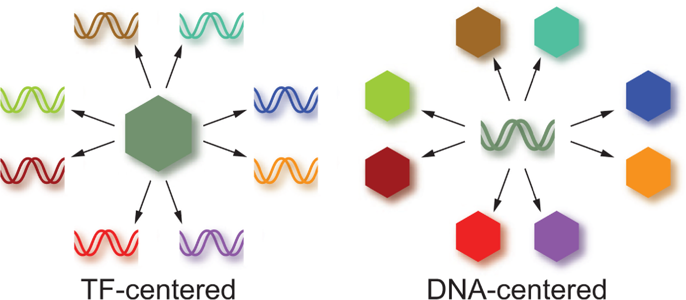 Yeast One Hybrid Assays A Historical And Technical Perspective