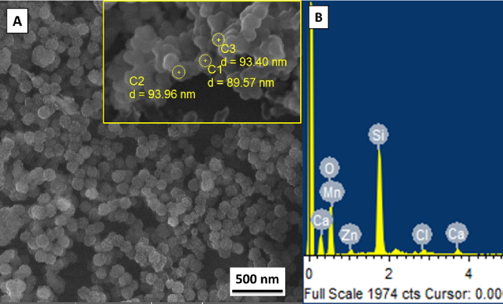 Table 1 From Znmn Doped Mesoporous Bioactive Glass Nanoparticle Loaded