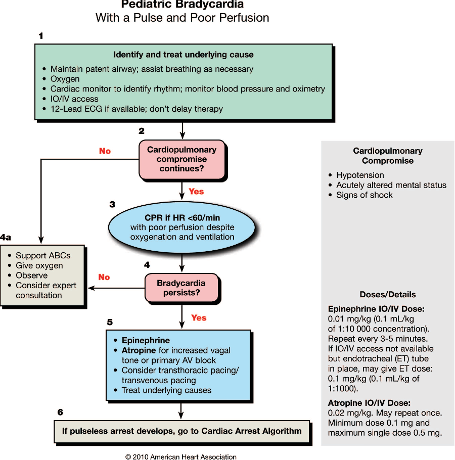 Pediatric Advanced Life Support Algorithms