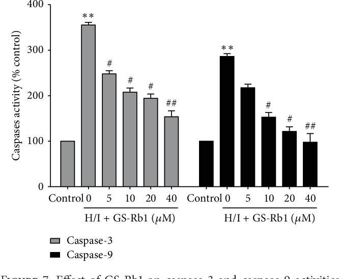 Figure 4 From Ginsenoside Rb1 Protects Neonatal Rat Cardiomyocytes From