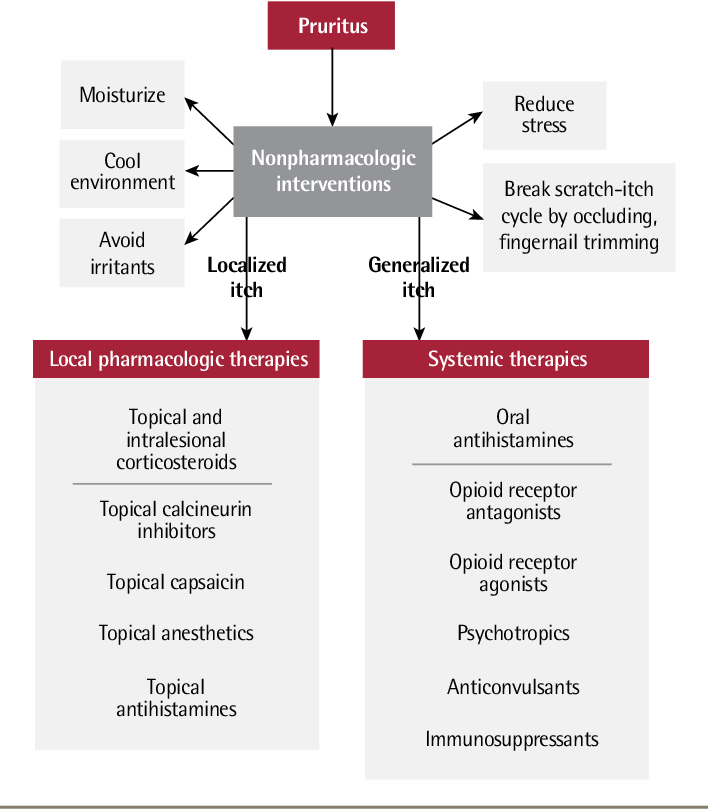 Table 1 From Diagnosis And Treatment Of Pruritus Semantic Scholar