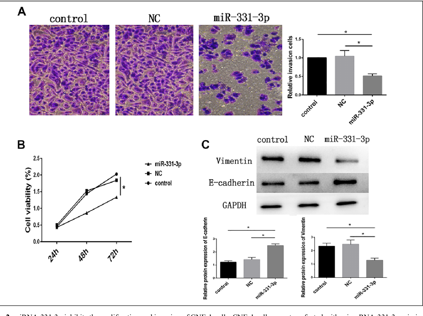 Figure 1 From Mir 331 3p Inhibits Proliferation And Promotes Apoptosis