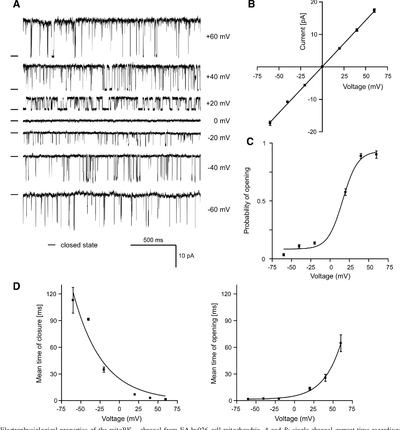 Figure 1 From Call For Papers Mitochondria In Cardiovascular Physiology