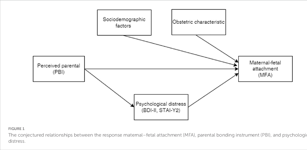 Figure 1 From The Relationship Between Maternal Fetus Attachment And