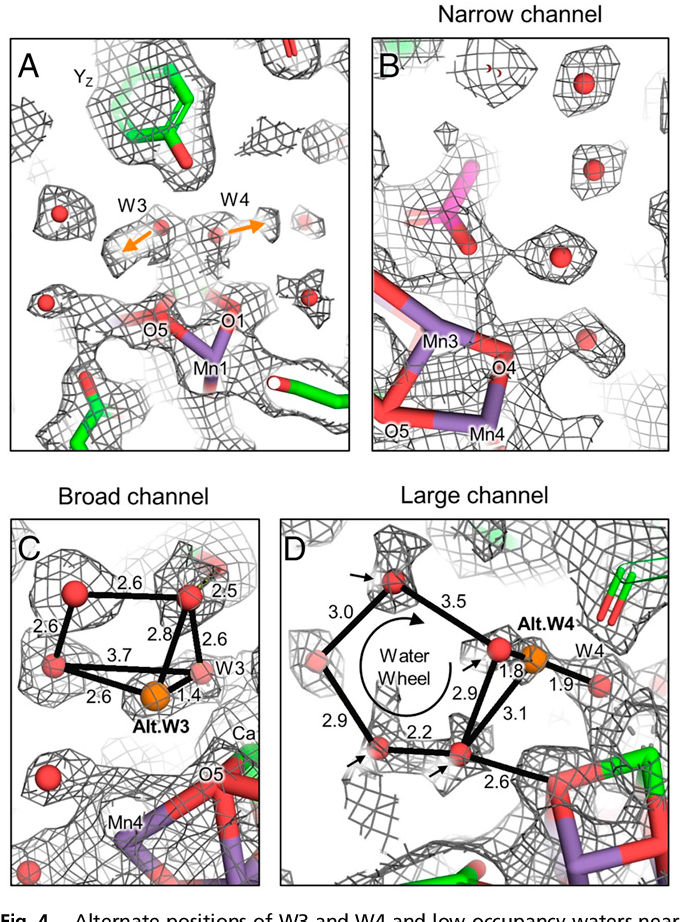 Pdf High Resolution Cryo Electron Microscopy Structure Of Photosystem