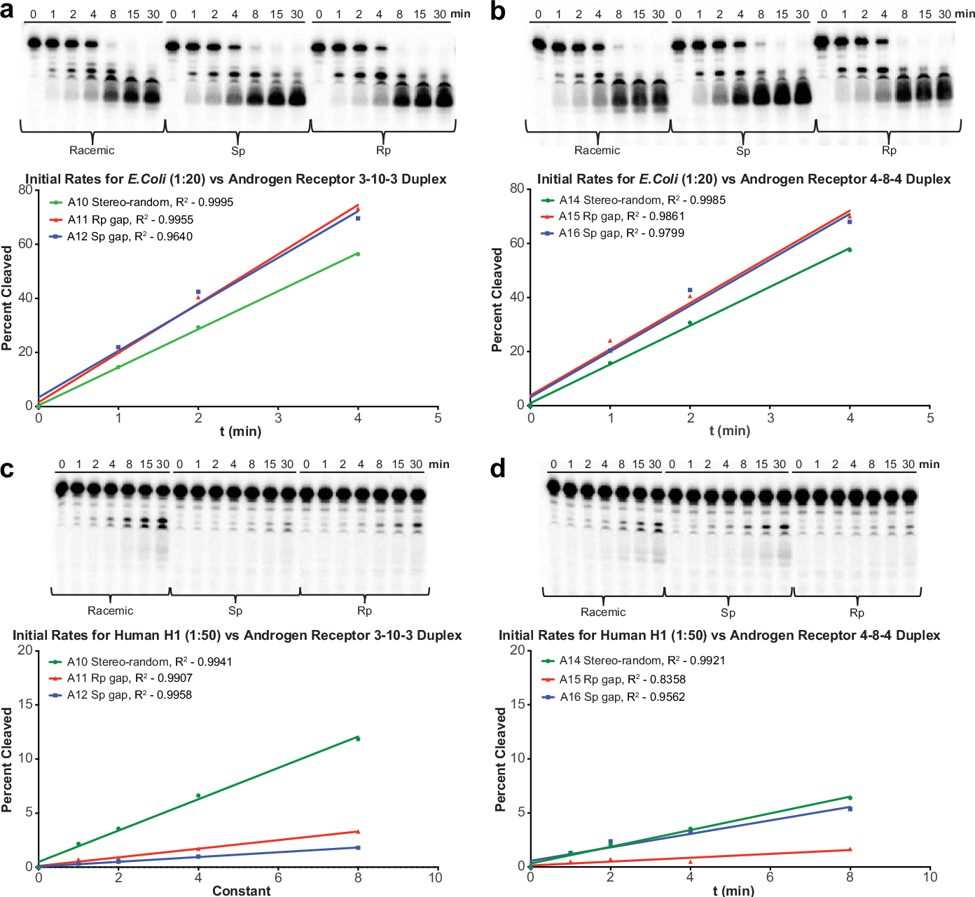 Figure 1 From Synthesis Biophysical Properties And Biological Activity