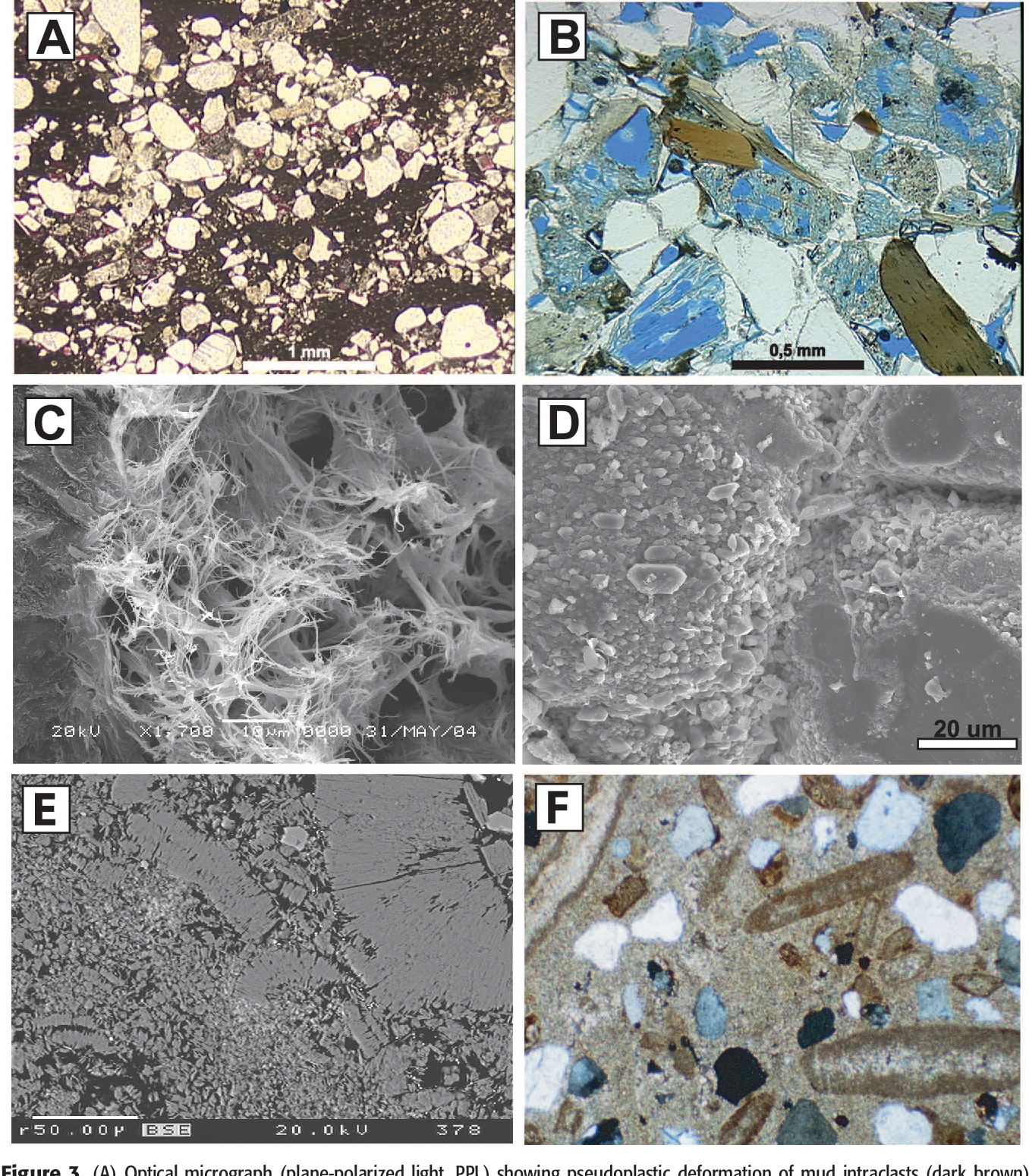 Figure 1 From The Impact Of Diagenesis On The Heterogeneity Of