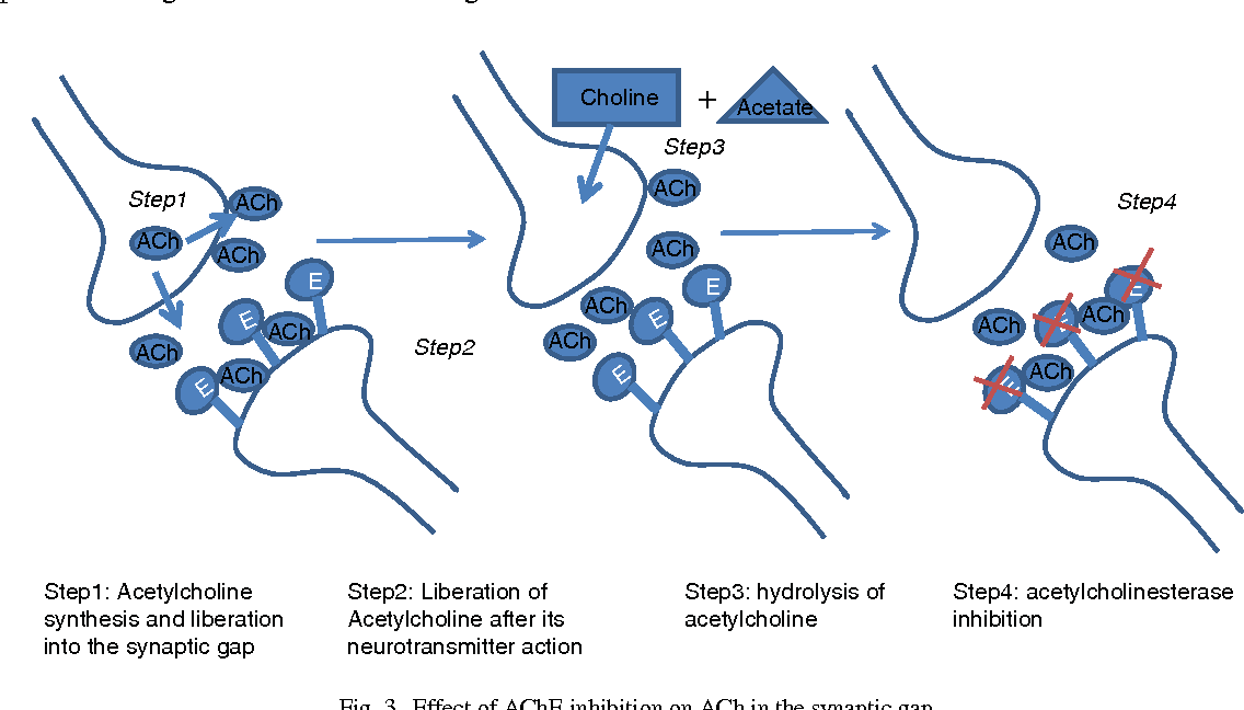 Acetylcholinesterase Inhibitor