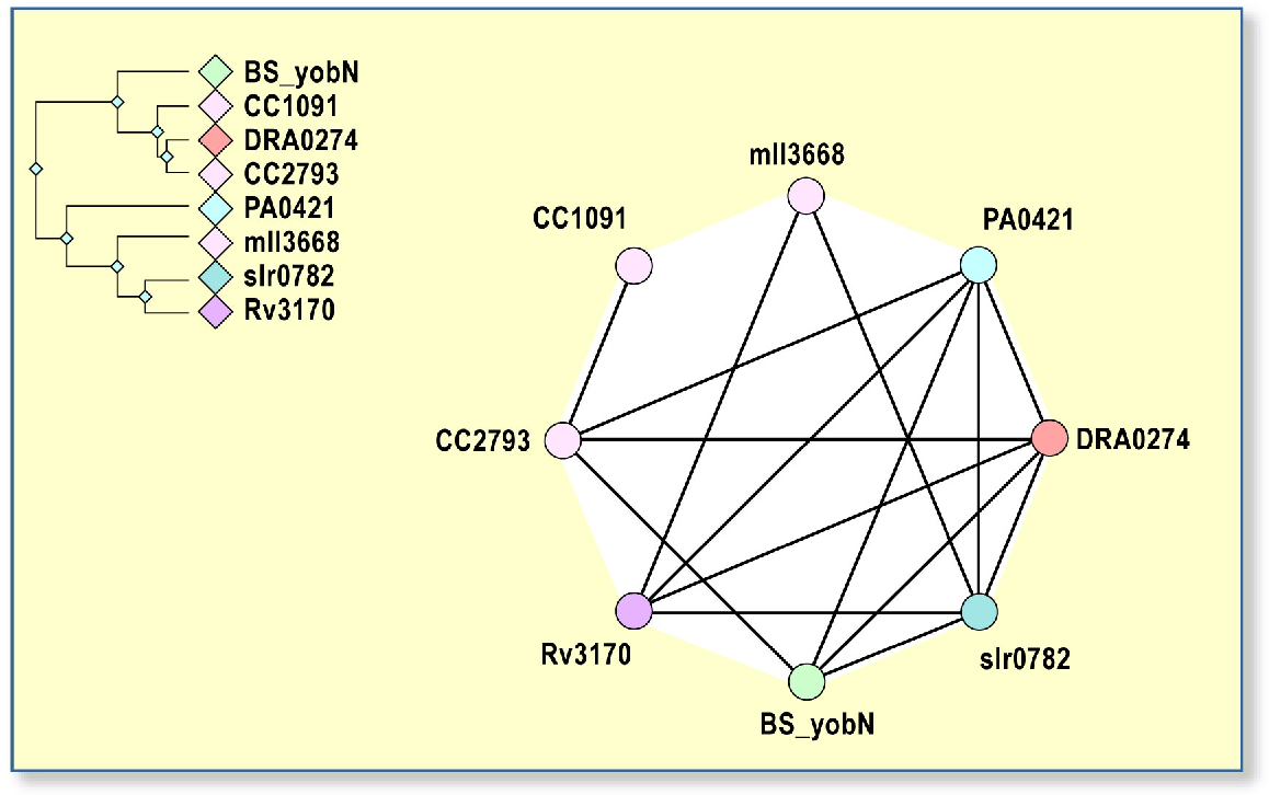 Pdf 22 The Clusters Of Orthologous Groups Cogs Database