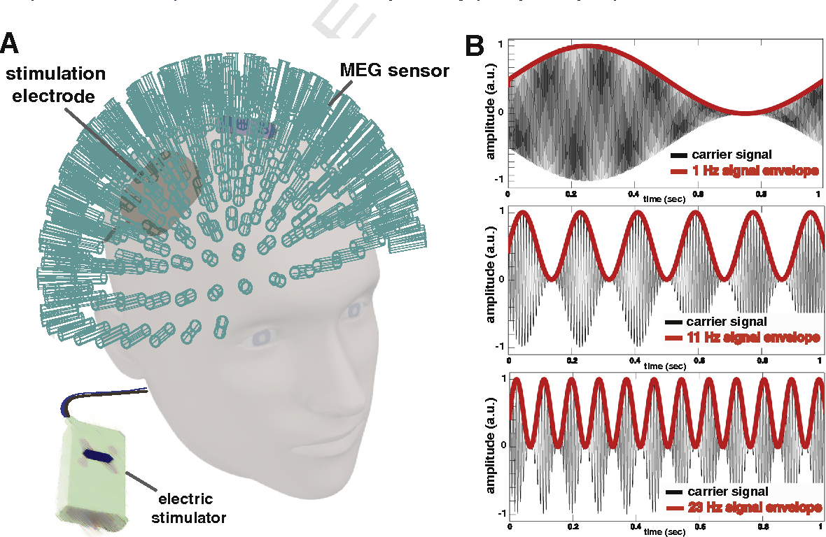 Figure 1 From Mapping Entrained Brain Oscillations During Transcranial