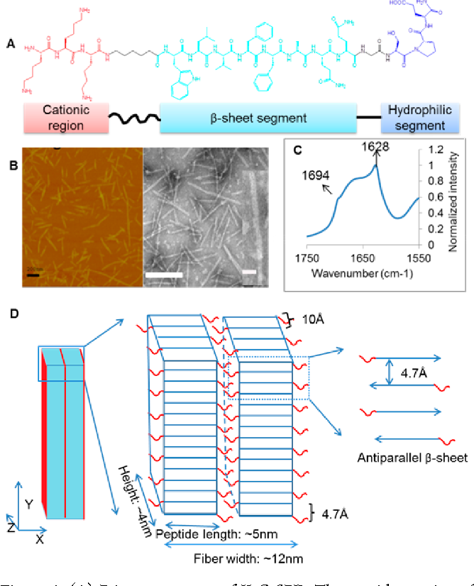 Structural Mimics Of Viruses Through Peptidedna Co Assembly