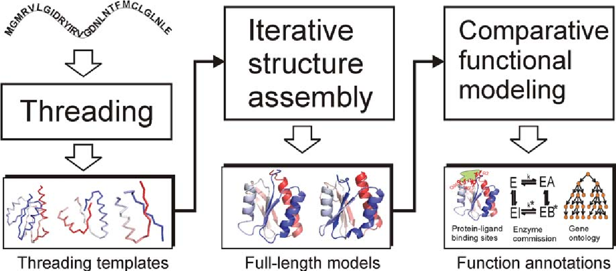 Figure 1 From I Tasser Server New Development For Protein Structure