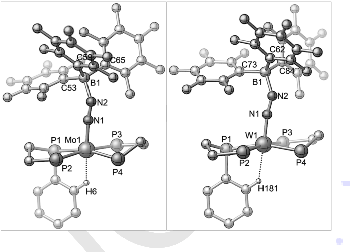 Pdf Group 6 Transition Metalboron Frustrated Lewis Pair Templates