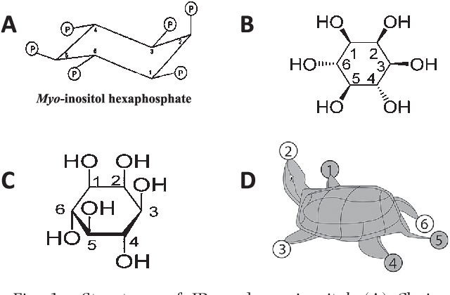 Anticancer Properties Of Inositol Hexaphosphate And Inositol An