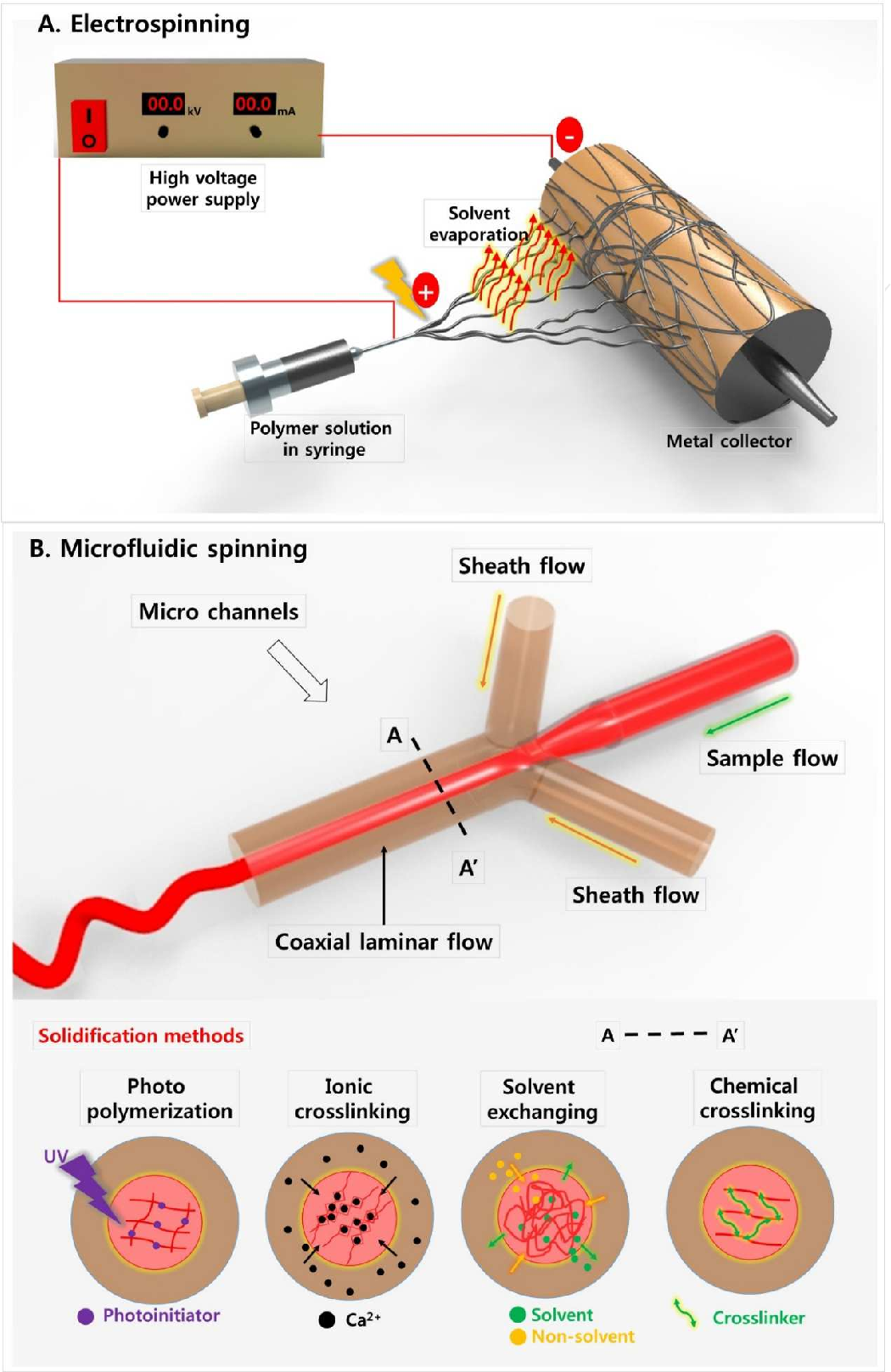 Electrospinning Versus Microfluidic Spinning Of Functional Fibers For