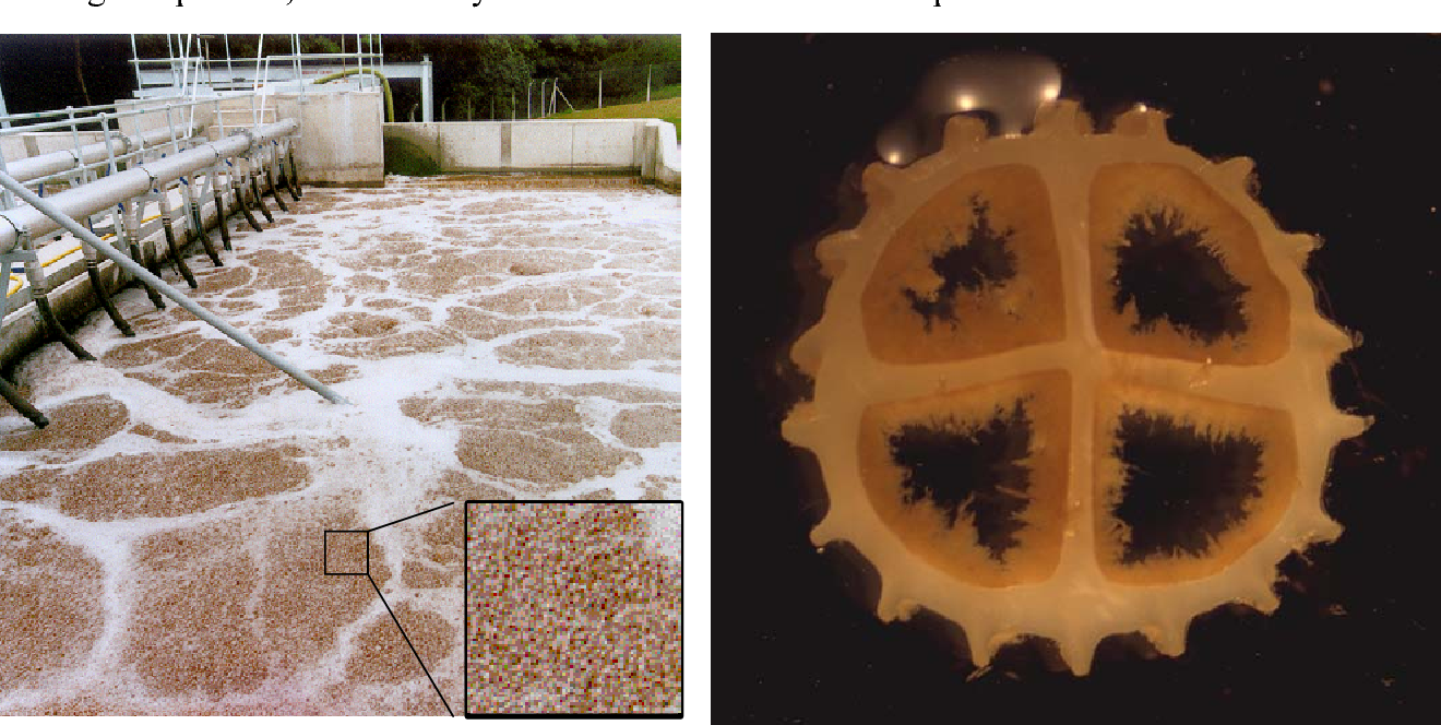 Pdf Description Of The Moving Bed Biofilm Reactor Mbbr Semantic