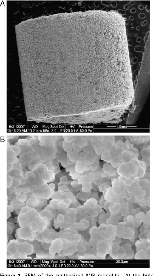 Figure 1 From Macroporous Molecularly Imprinted Monolithic Polymer