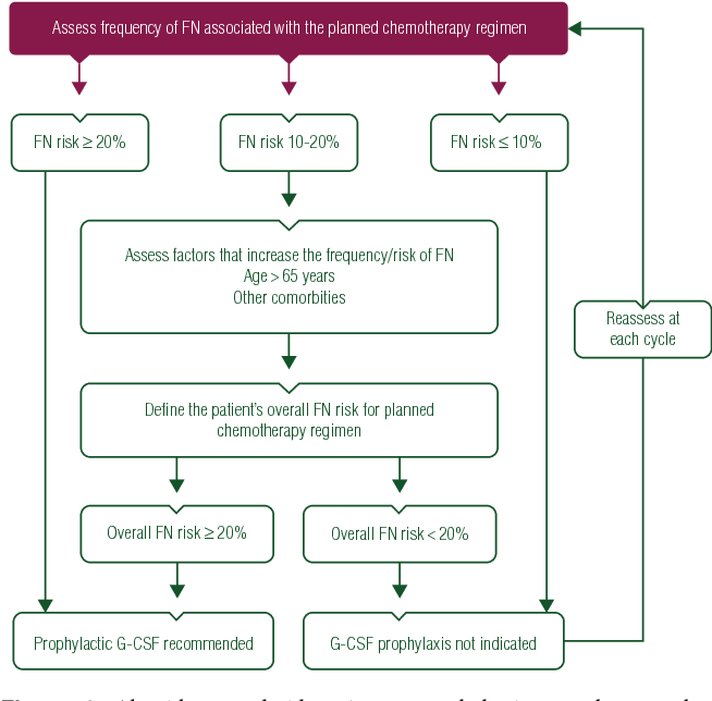 Pdf Management Of Febrile Neutropaenia Esmo Clinical Practice