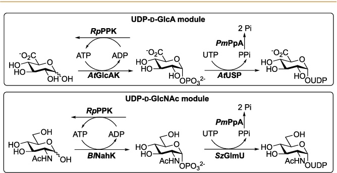 Biocatalytic Approaches To Building Blocks For Enzymatic And Chemical