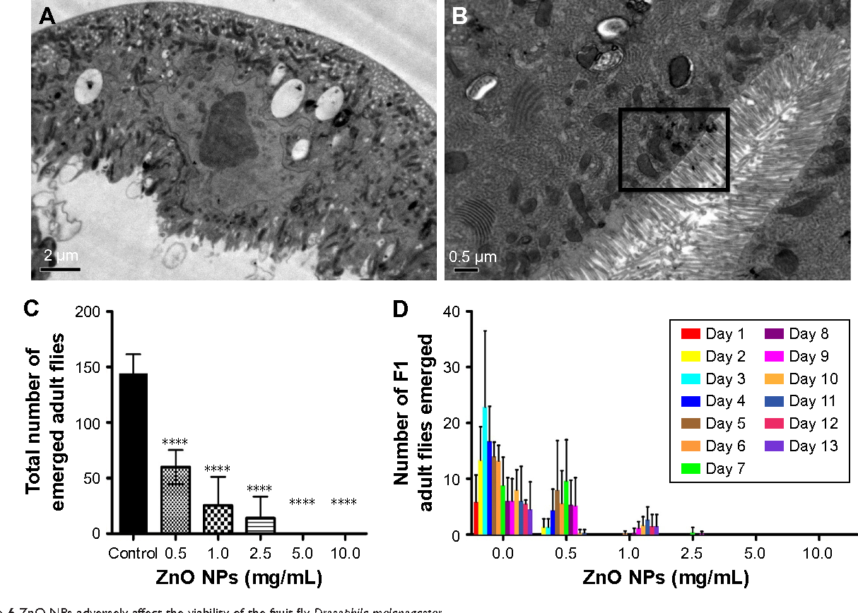 Figure 1 From Zinc Oxide Nanoparticles Exhibit Cytotoxicity And