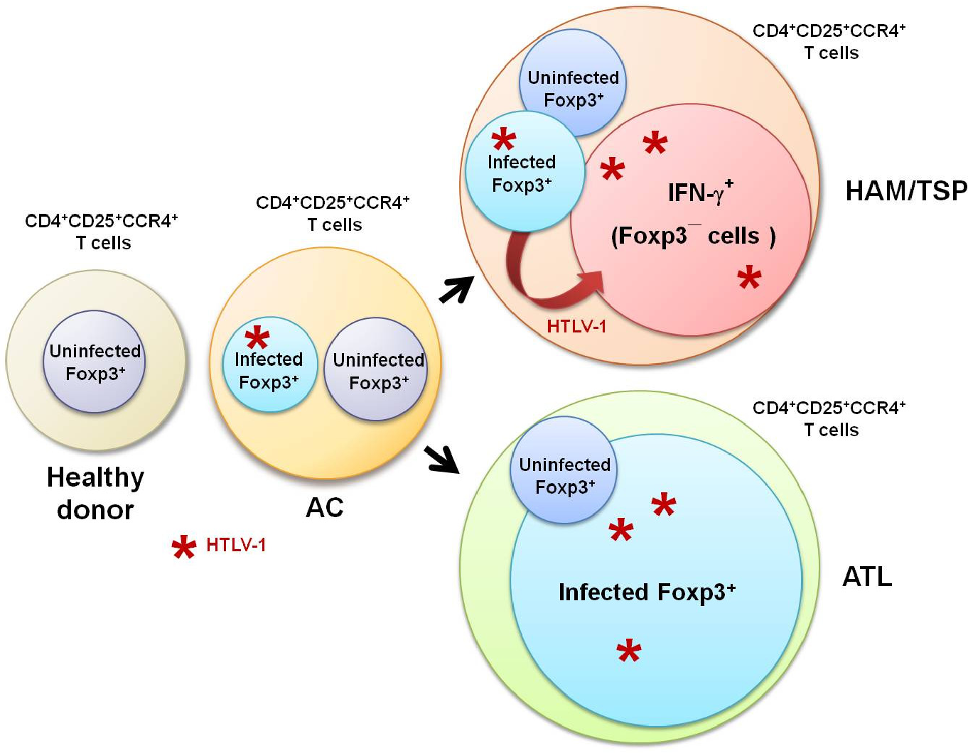 Figure 1 From Human T Lymphotropic Virus Type 1 Htlv 1 And Regulatory