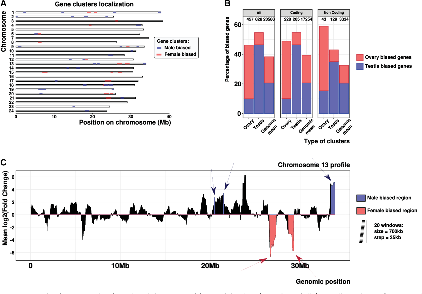 Pdf Clustering Of Sex Biased Genes And Transposable Elements In The